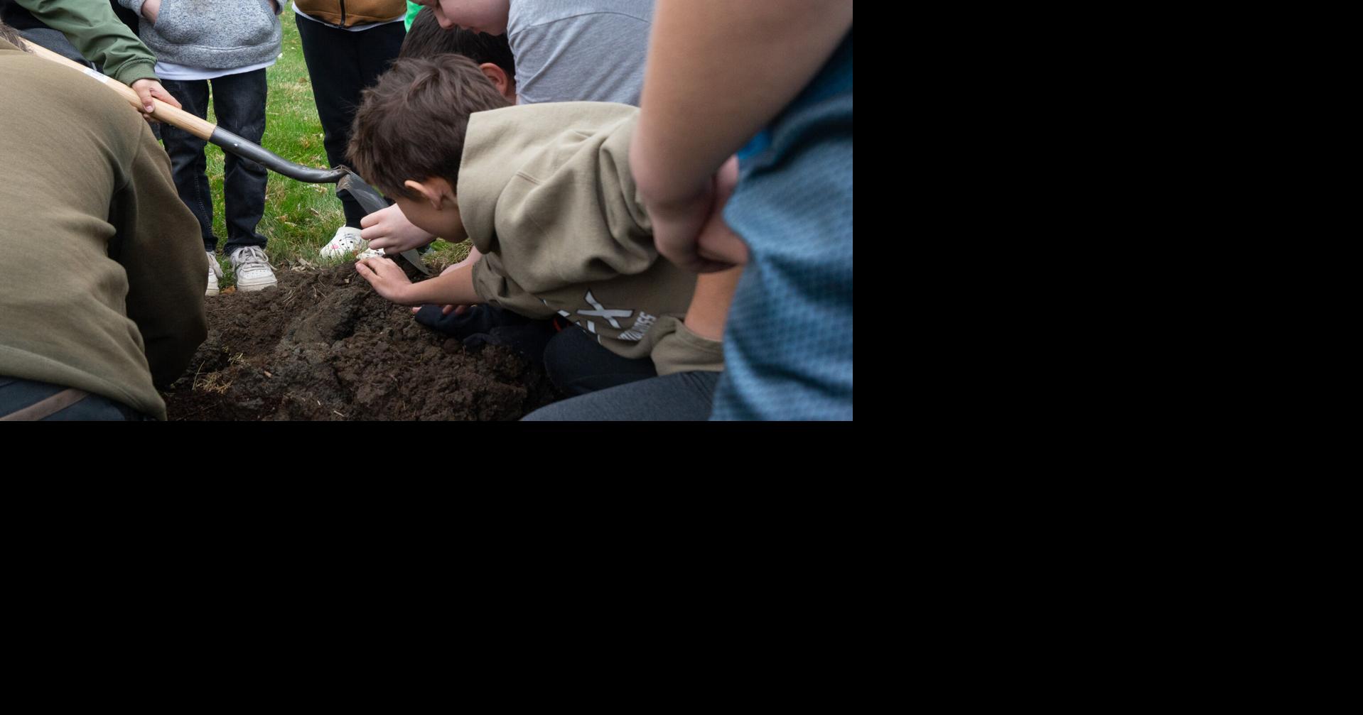 Spaces available for city's tree planting workshops