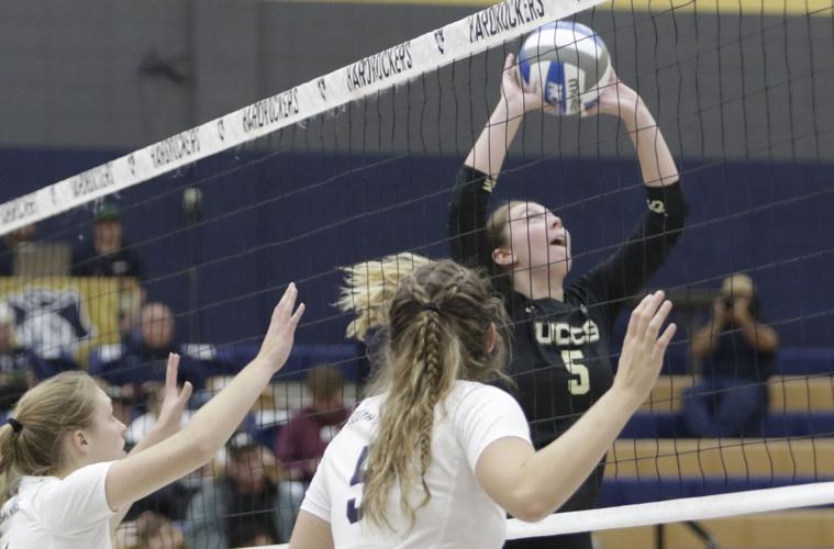 Mines volleyball avenges early-season loss with sweep of Mountain Lions