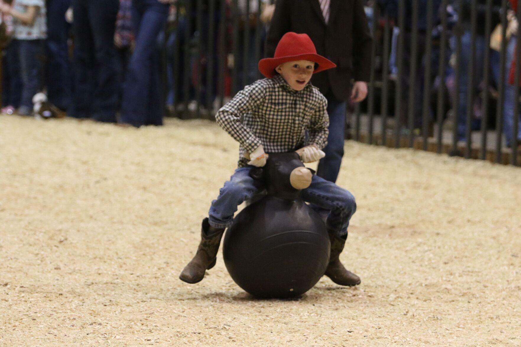 Youngsters compete in the 'world's smallest rodeo' at Black Hills Stock ...