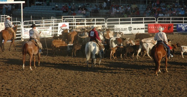 Ranch Rodeo opens rodeo style Roundup events