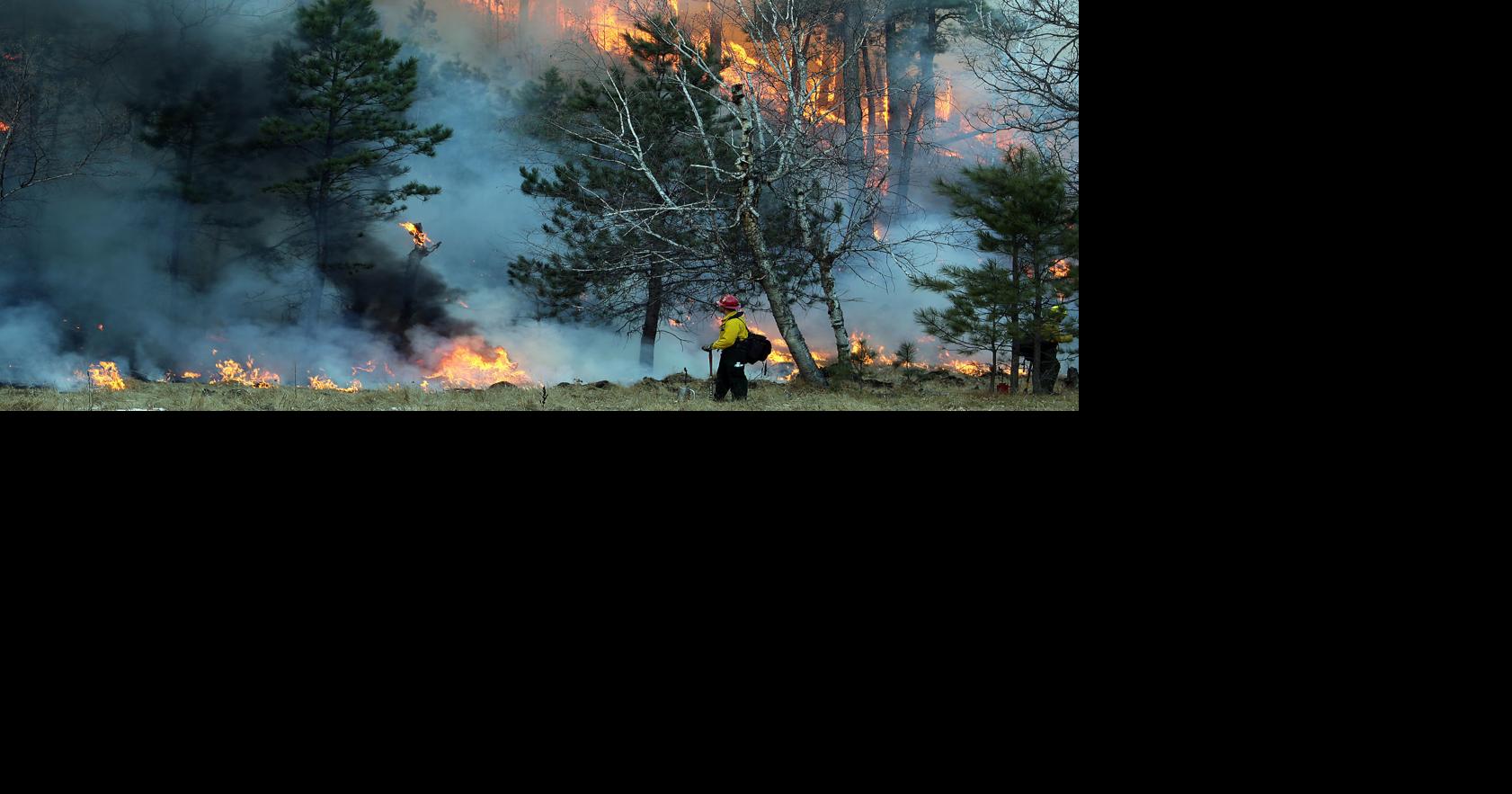 Logging debris piles fueled Legion Lake Fire, expert says