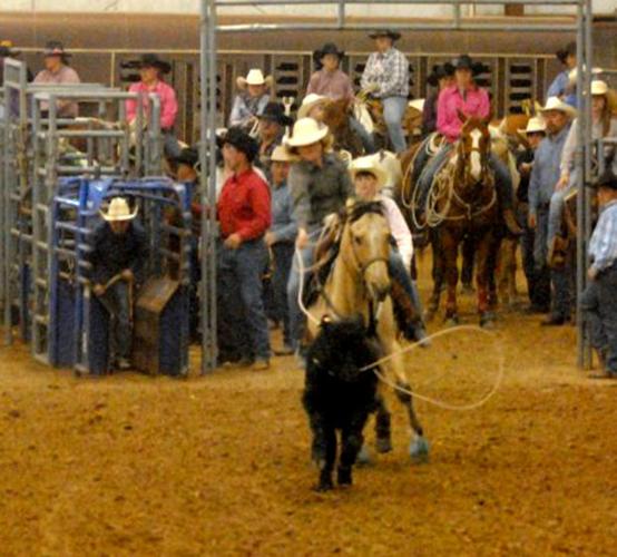 Area riders among top winners at Little Britches Rodeos