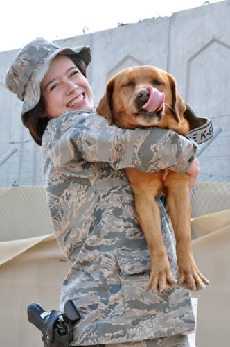 Former Marine military working dog finds new life in the AF