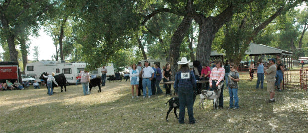 Round Robin tests overall livestock handling skills