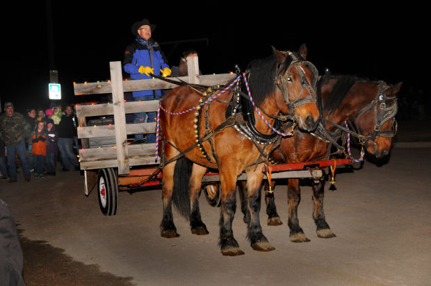 Horse-drawn rigs give rides, raise food funding