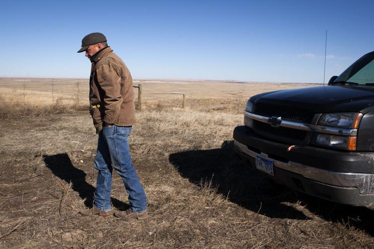 Cattle guards cause contention in Imlay