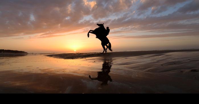 The day in pictures - Saturday, Dec. 27