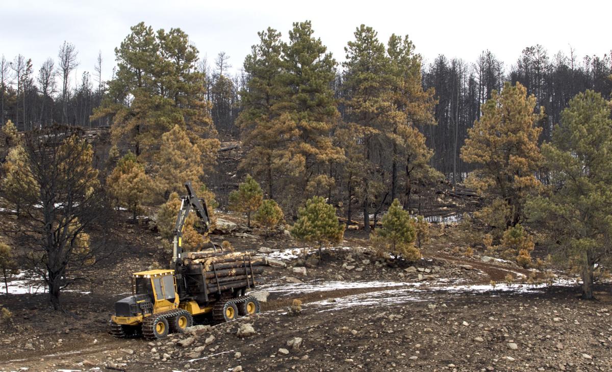 Custer State Park burning salvage logging piles from Legion Lake Fire