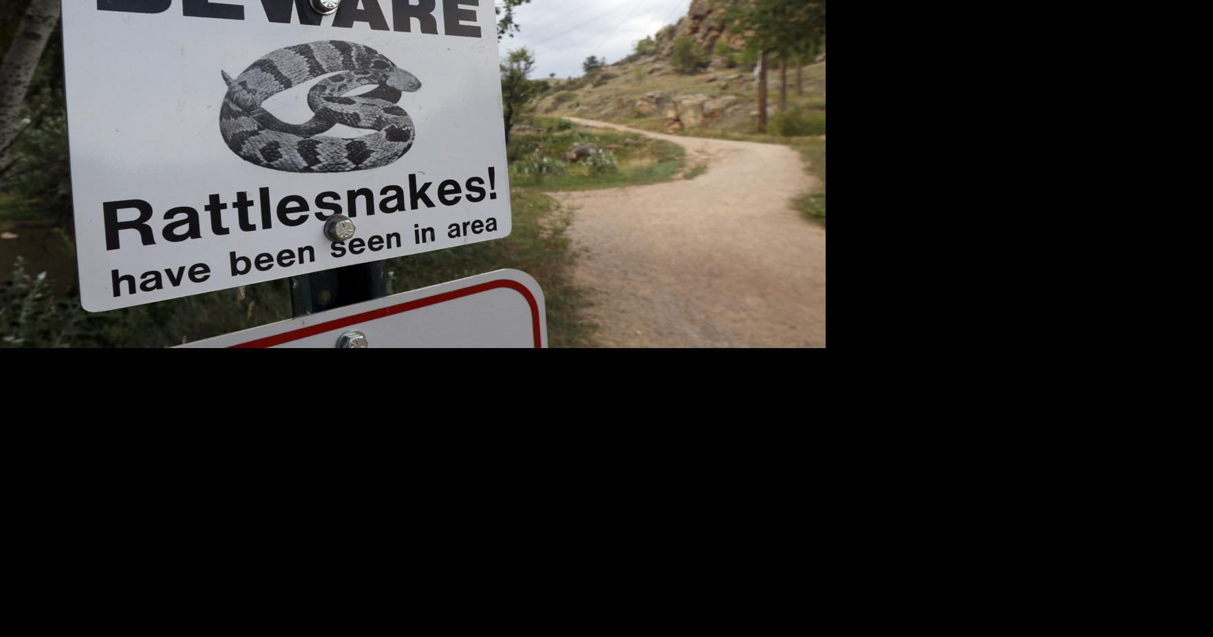 Watch your step, don't step on a snake