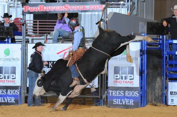 Professional Roughstock Series riders profiles