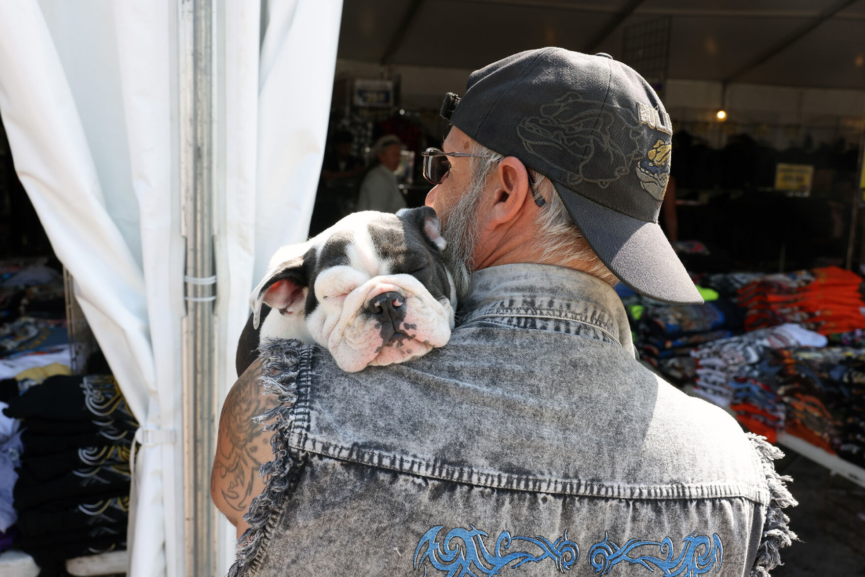 PHOTOS: Pets (and other animals) at the Sturgis Motorcycle Rally