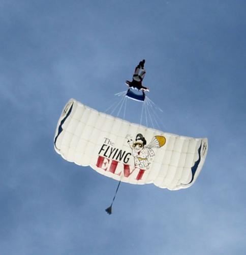 Flying Elvi and parrots