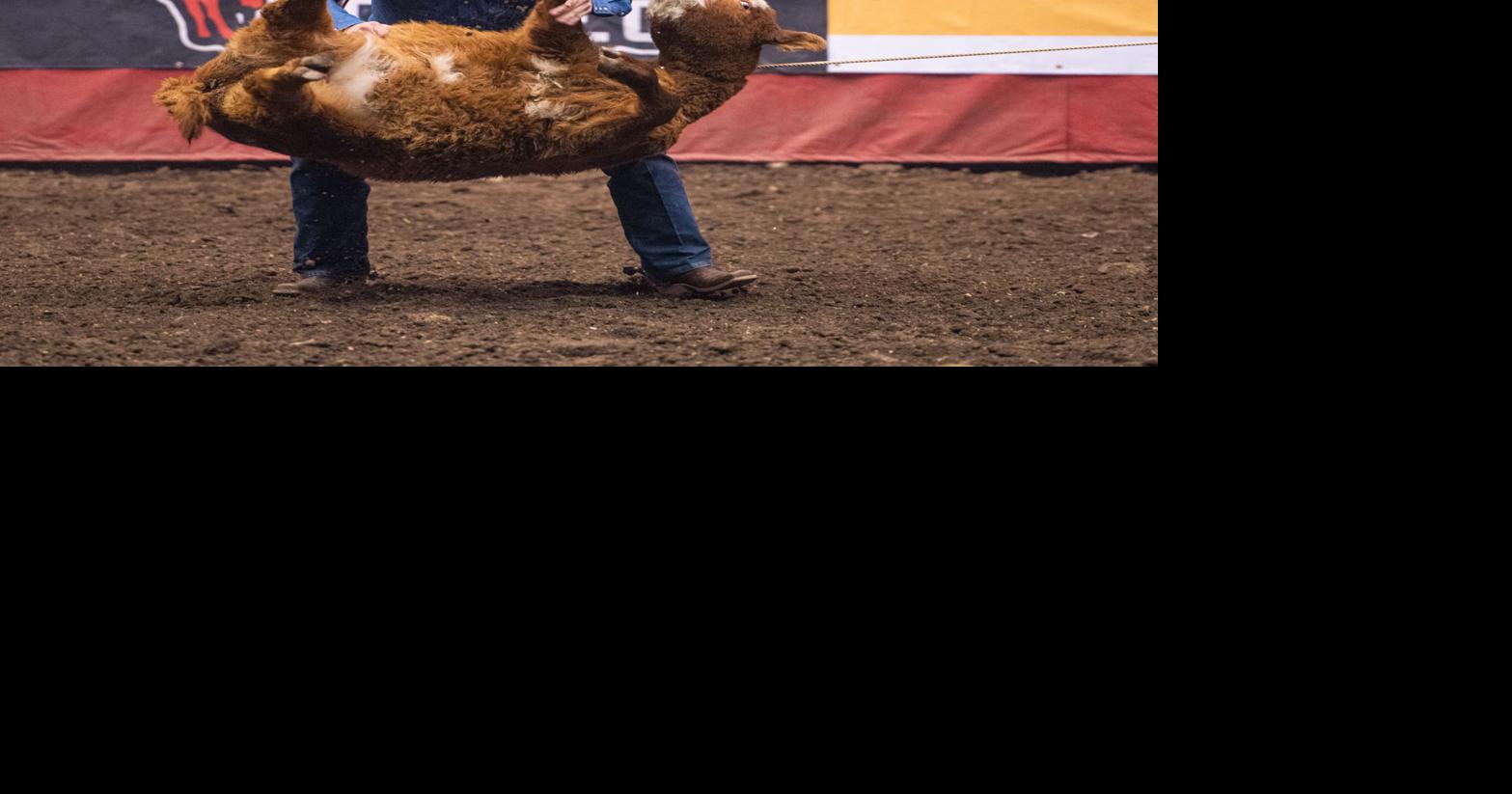 Rodeo Rapid City wins PRCA Large Indoor Rodeo of the Year