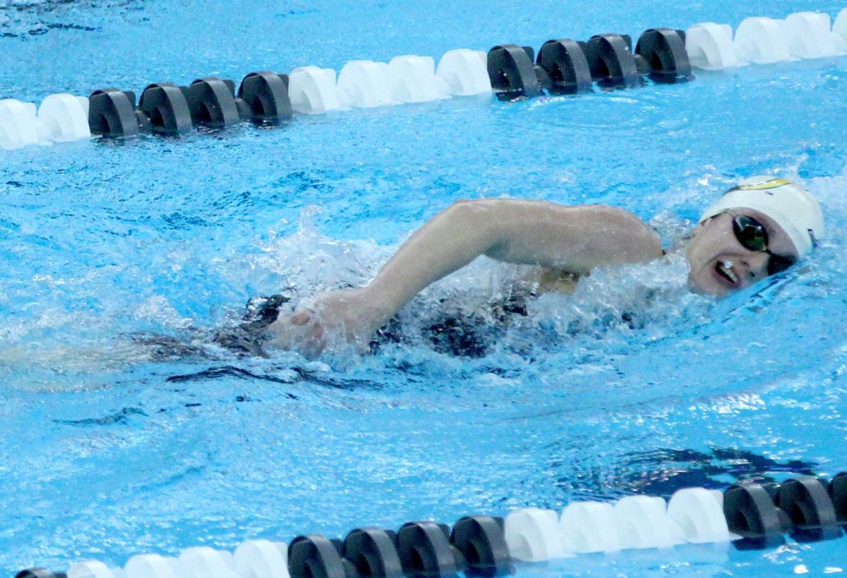 Lead-Deadwood graduate Taylor Beagle excels in first year at Augustana