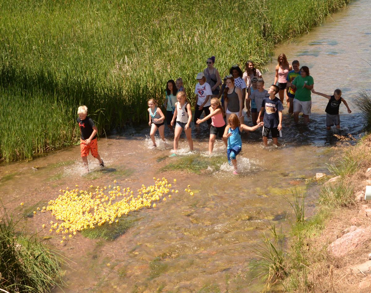 Duck race results