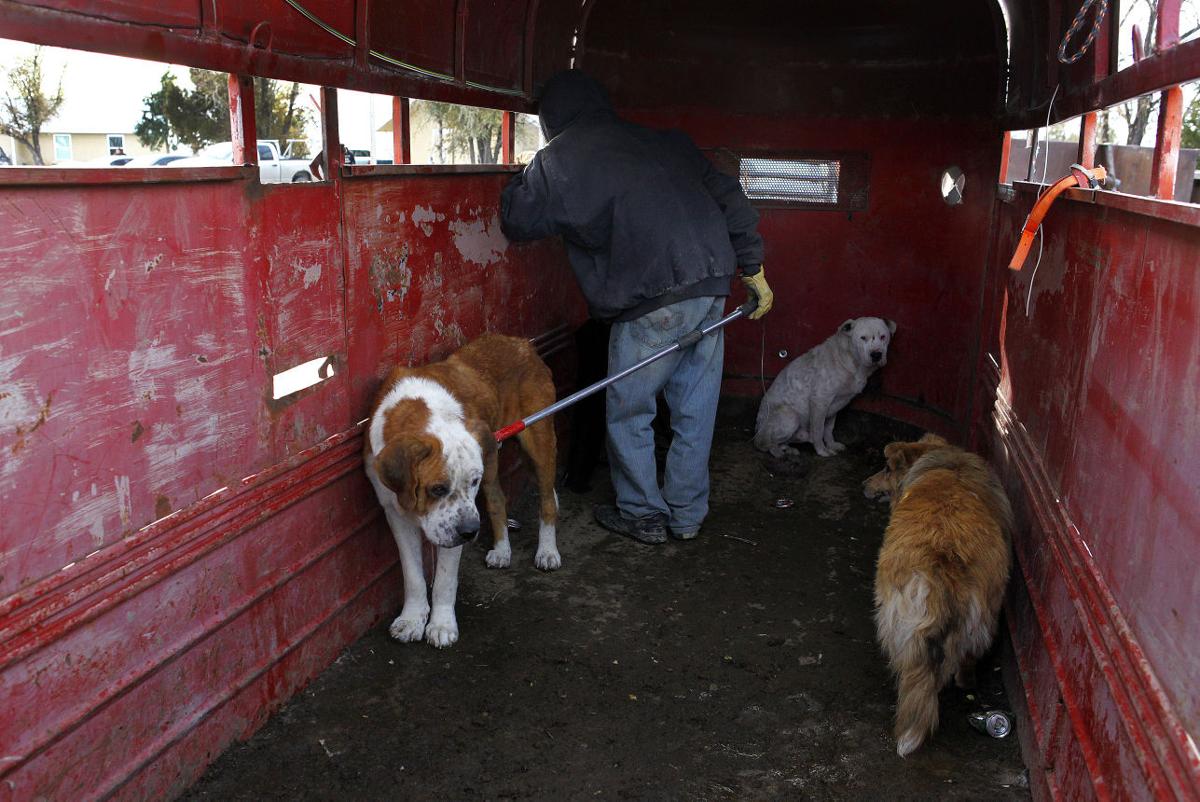 Chris Huber - photos of the year