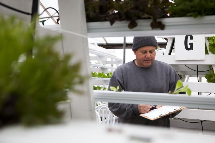 Greenhouse creates jobs for 'underserved' population