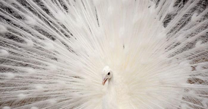 Photos of the month — Benjamin Brayfield