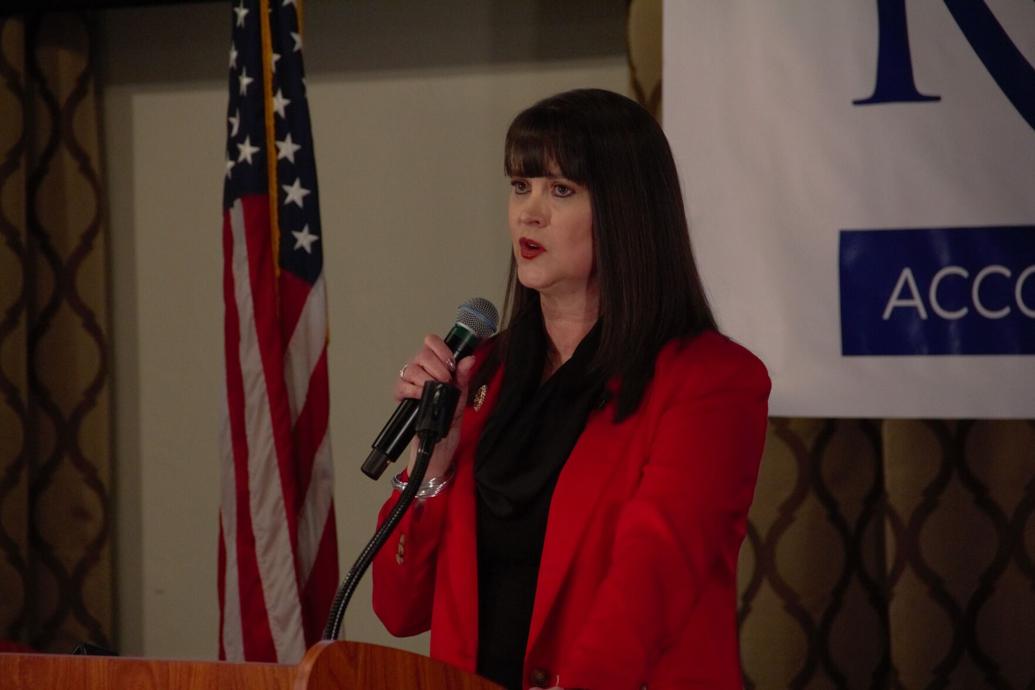 Roetzel launches state's attorney campaign