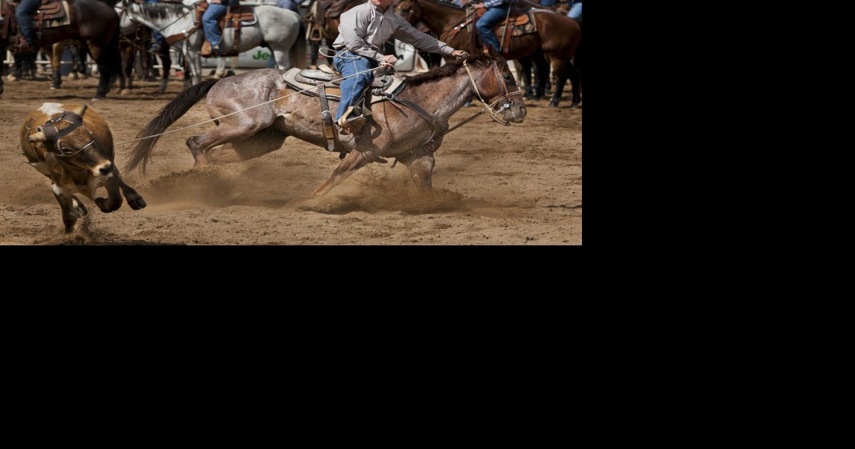 Rodeo: Steer roping kicks off Days of '76
