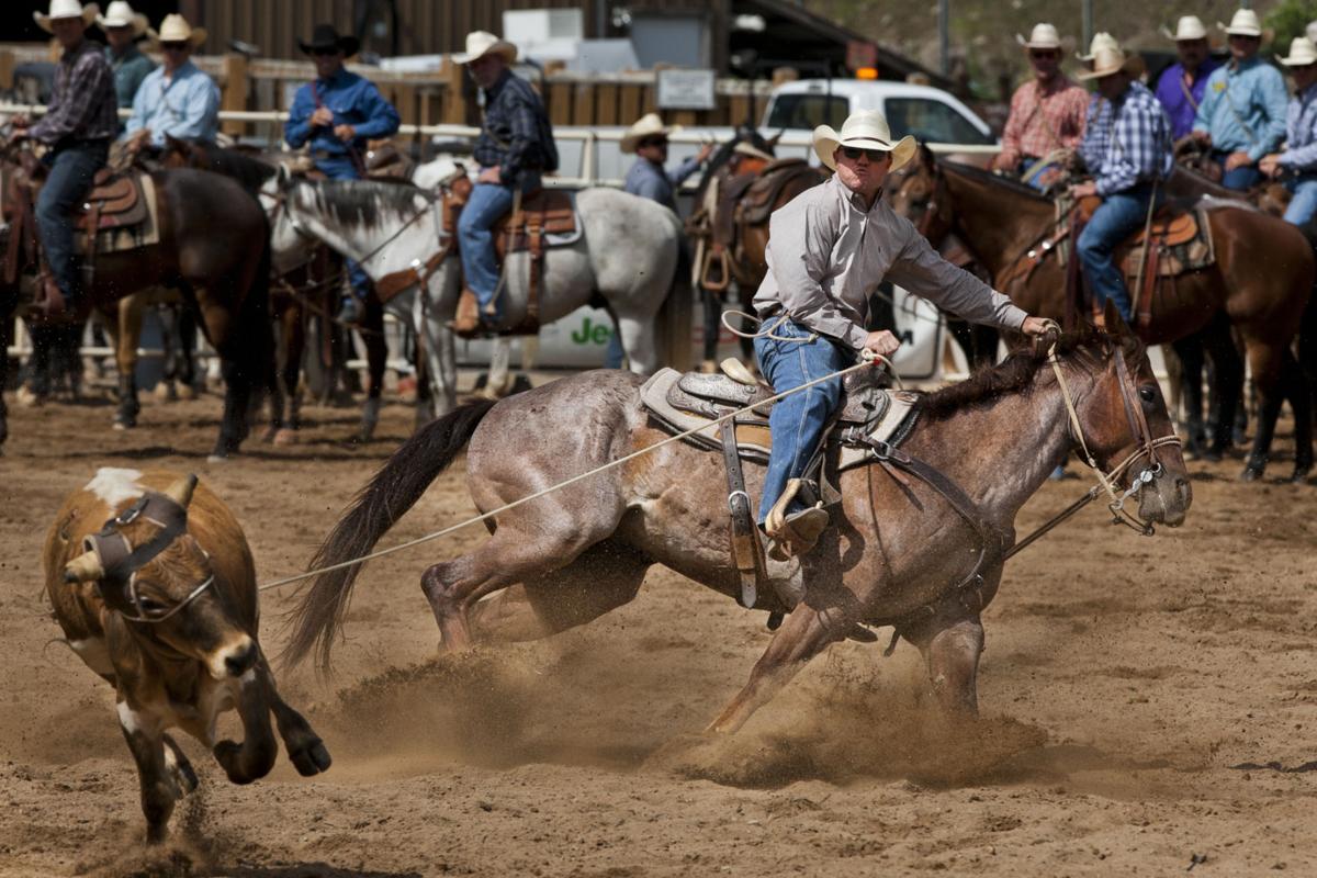 Rodeo: Steer roping kicks off Days of '76 | Sports | rapidcityjournal.com
