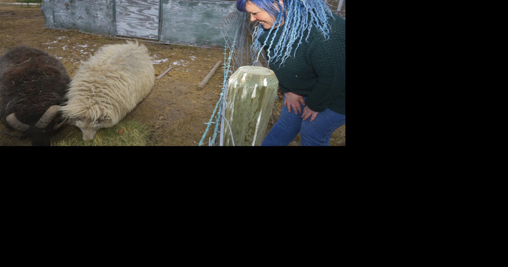 Former hairdresser makes dreadlocks from sheep's wool