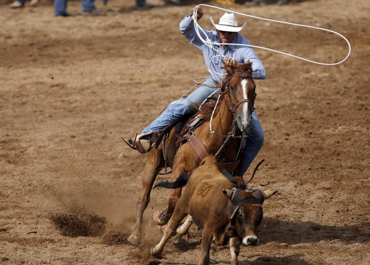 Days of '76 steer roping | Photos | rapidcityjournal.com