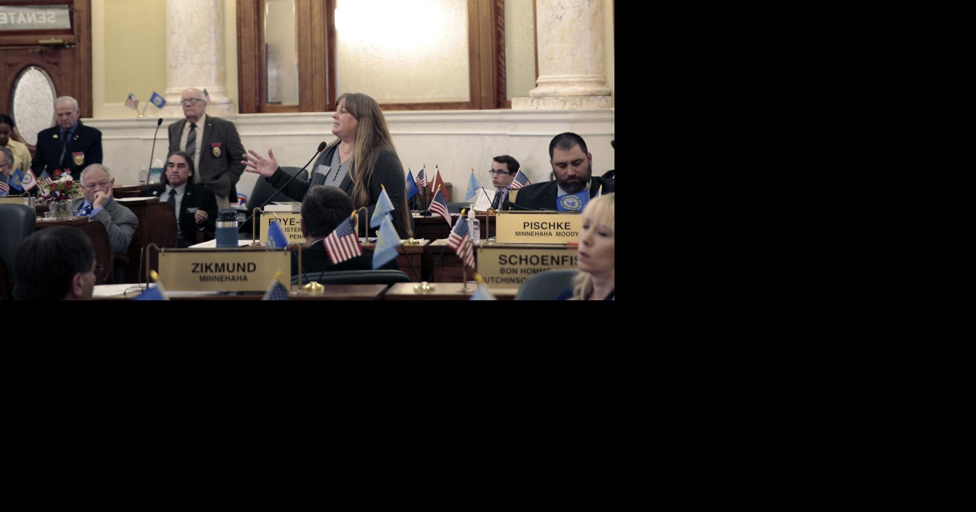 Sen. Julie Frye-Mueller files federal lawsuit over suspension