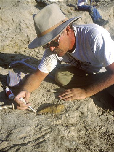 Paleontologist talk set at HARCC | Communities | rapidcityjournal.com
