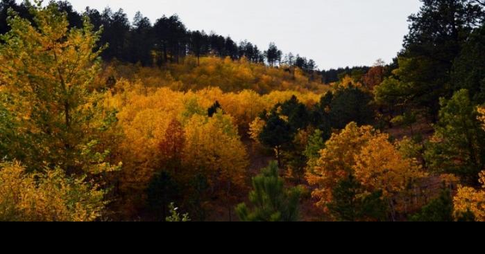 Vanocker Canyon showing off fall colors