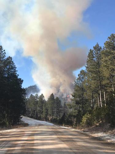 Multiple crews respond to wildland fire near Custer