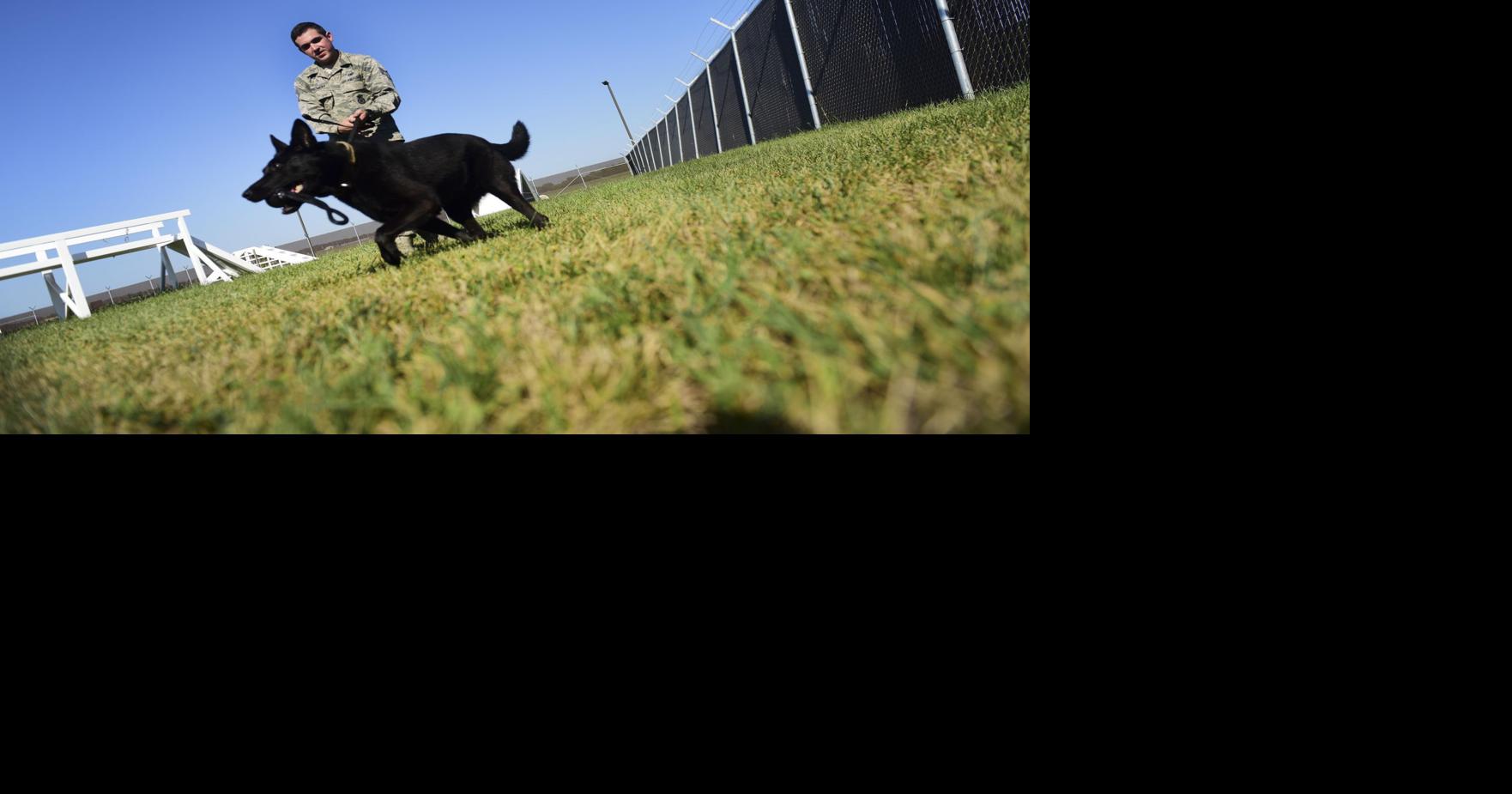 An Airman's best friend