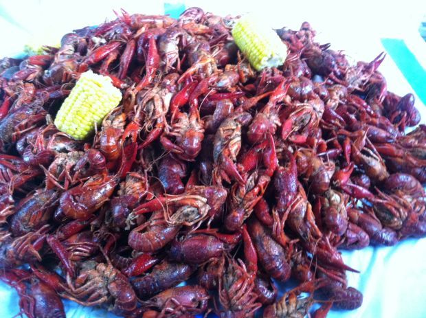 The ABCs of Cajun eating: Alligator, Beignets and Crawfish