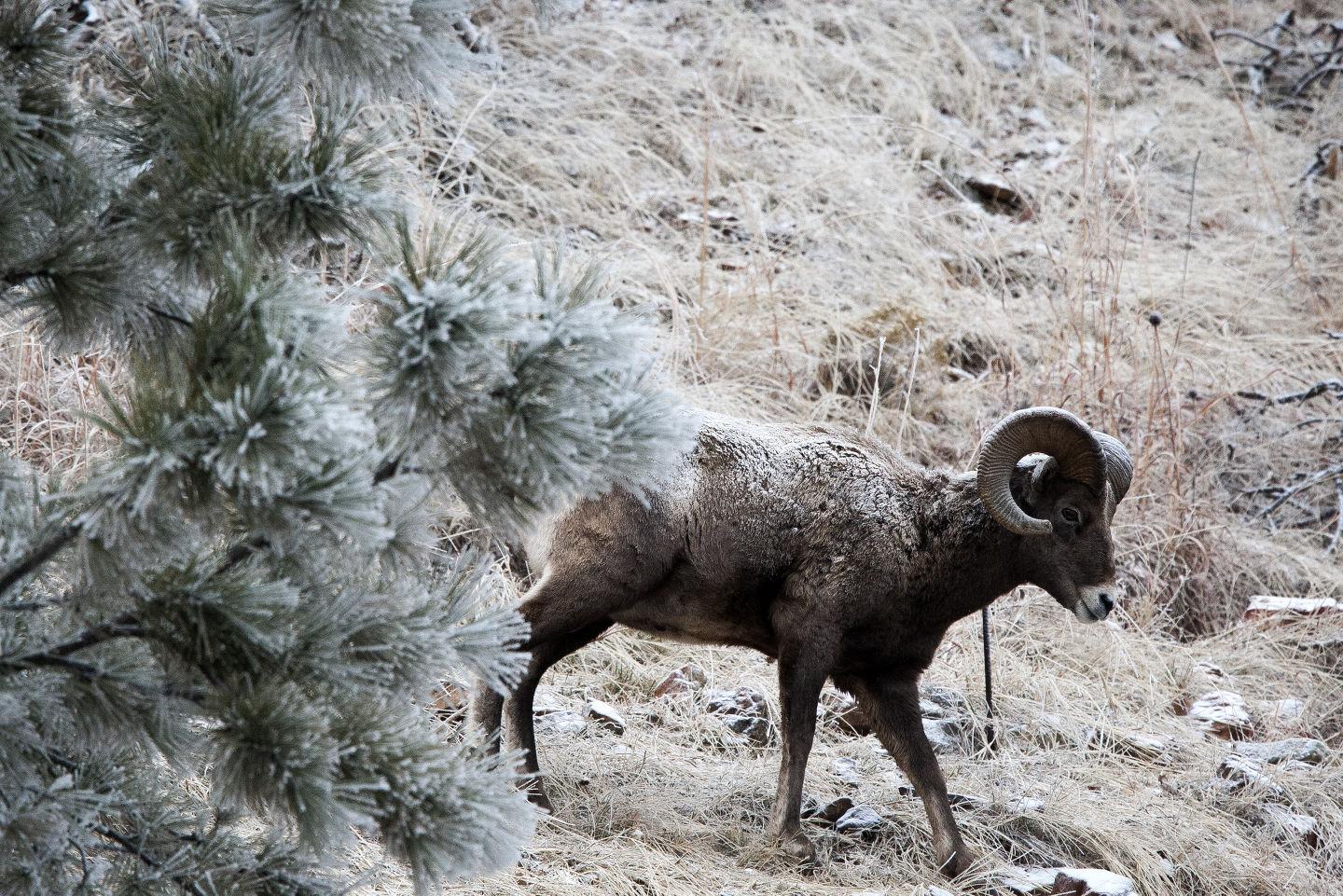 Storm brings freezing drizzle then snow