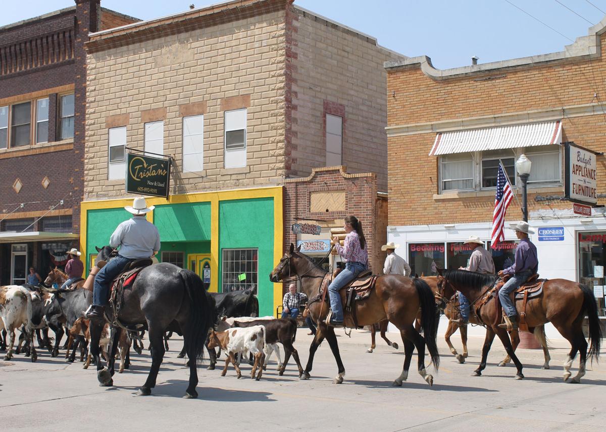 Cattle drive glimpse into the past | Belle Fourche | rapidcityjournal.com