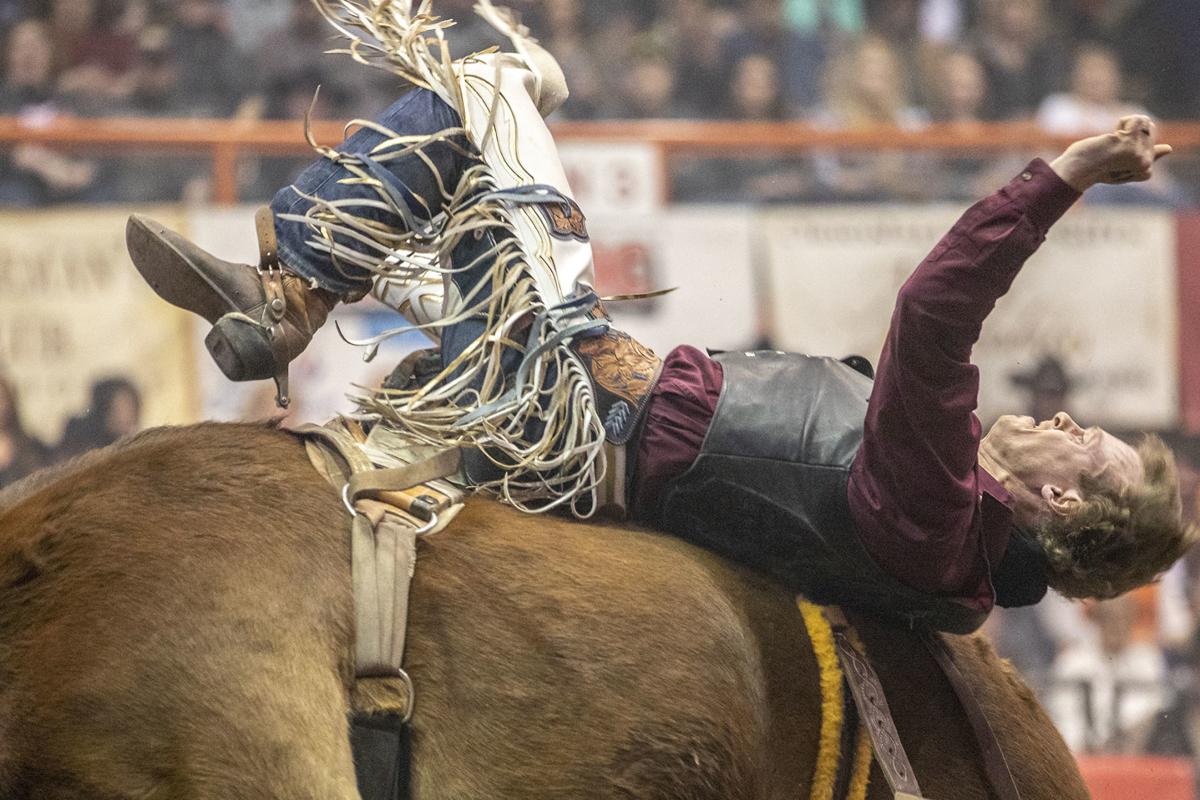 Cole Reiner returns to Rapid City with bareback win | Sports ...