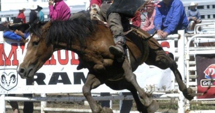 Summer storm adds gusts-o to state high school rodeo