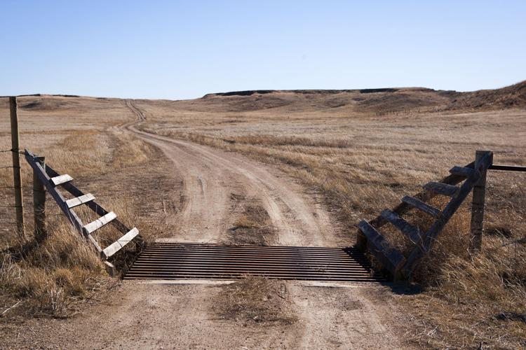 Cattle guards cause contention in Imlay