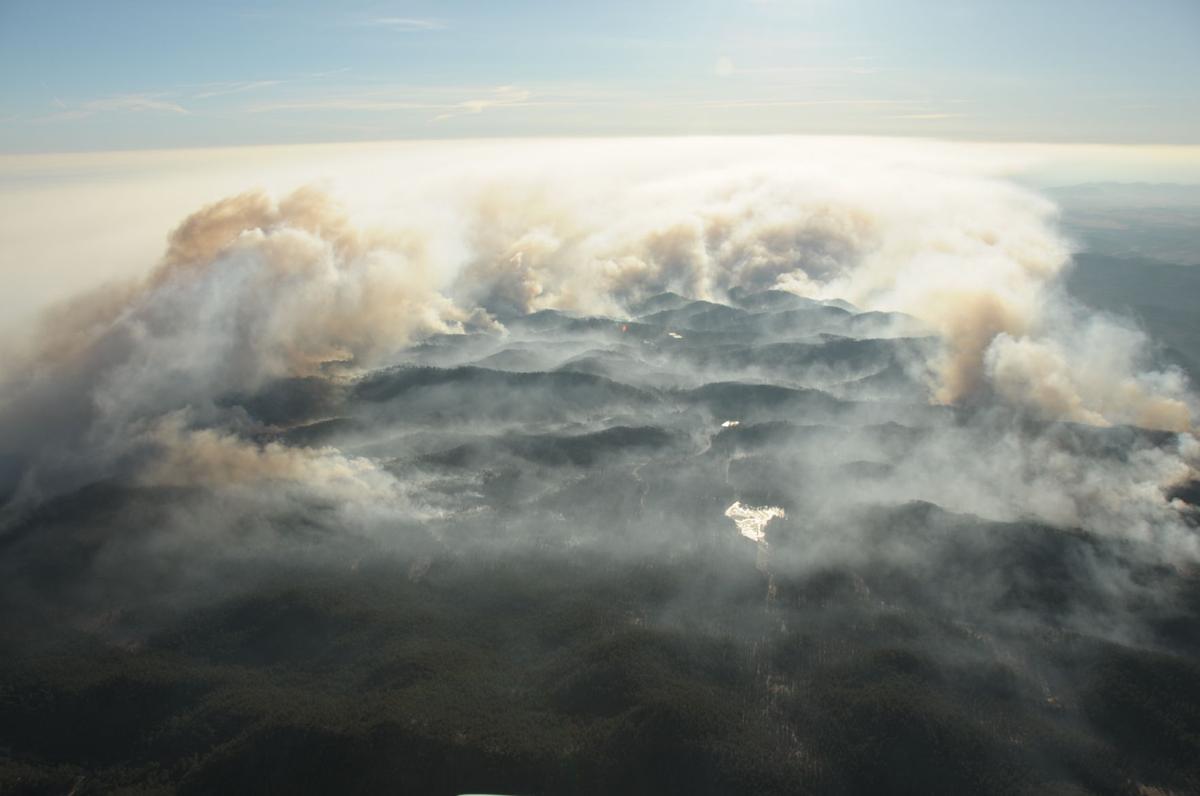 UPDATE: Wind fans Custer State Park wildfire, more evacuations underway ...