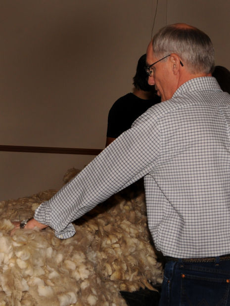 College wool judging teams attend Belle Fourche clinic | Belle Fourche ...