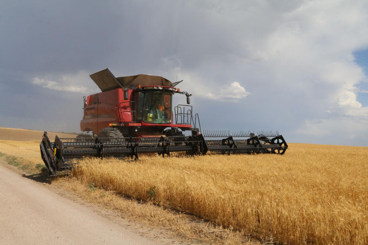 Wheat harvest begins across Nebraska