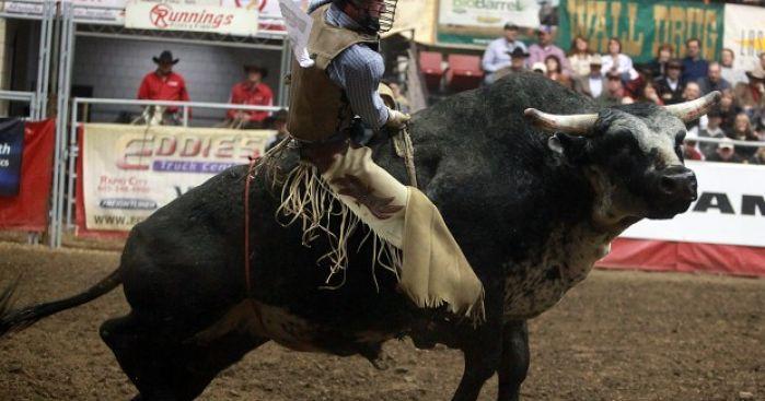 Xtreme Bull Riding: Saturday