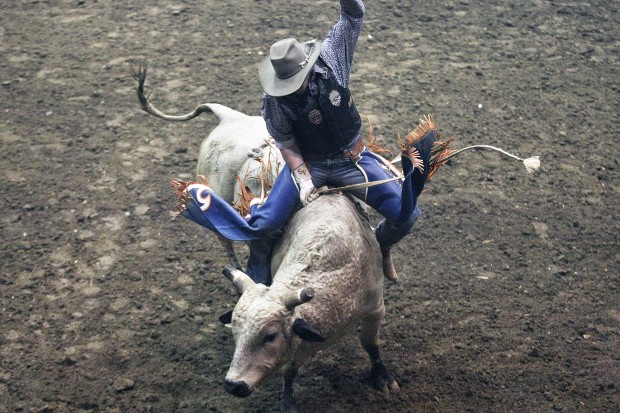 The agony and the Xstasy of Xtreme bull riding