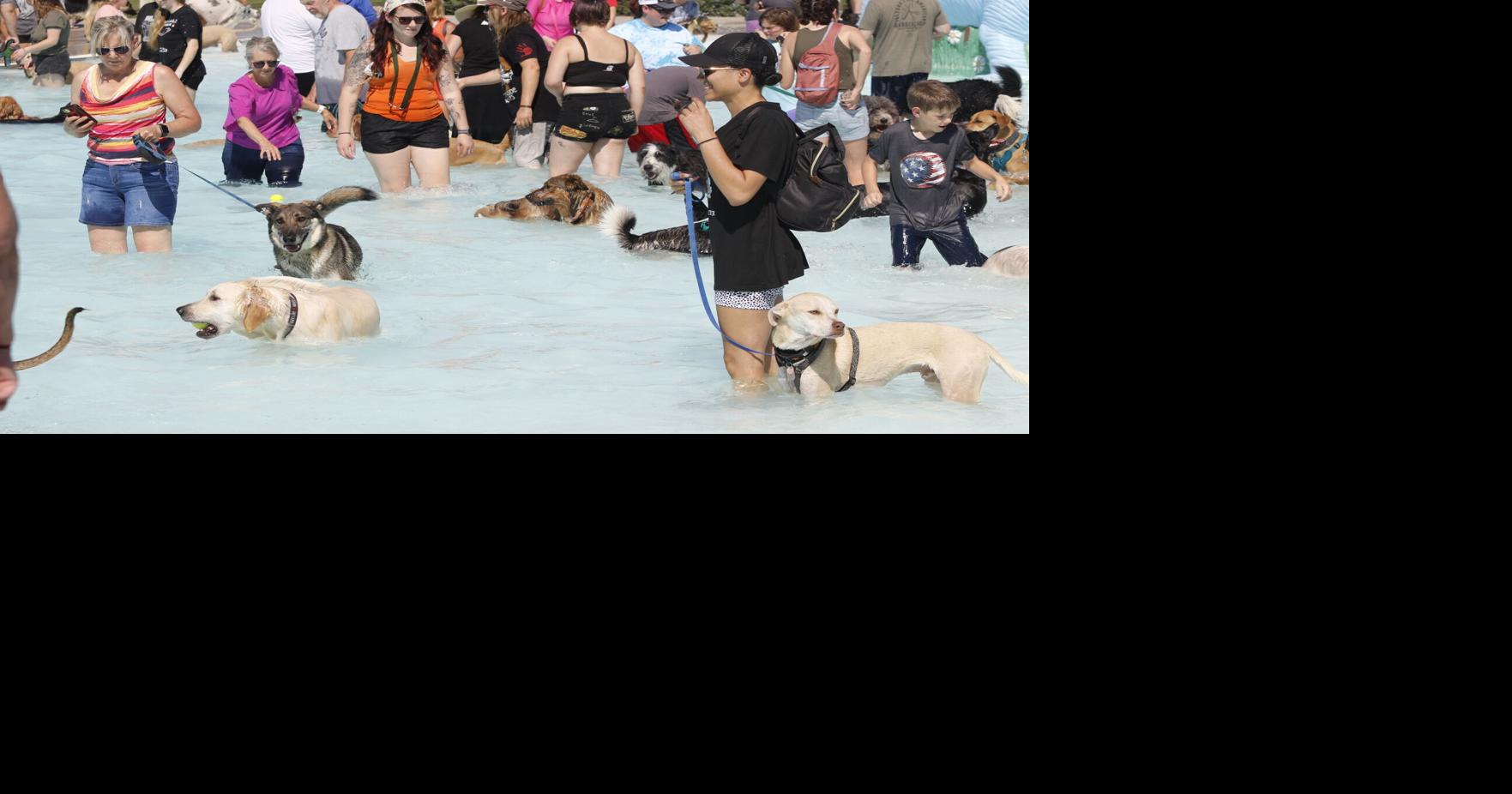 Jimmy Hilton Pool goes to the dogs Sept. 3