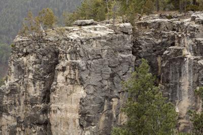Child dies after fall at Falling Rock