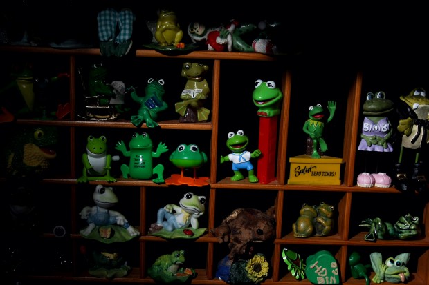 Friends’ gifts lead to hopping frog collection