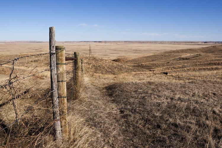 Cattle guards cause contention in Imlay