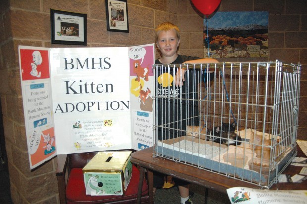 Local youth finding homes for kittens