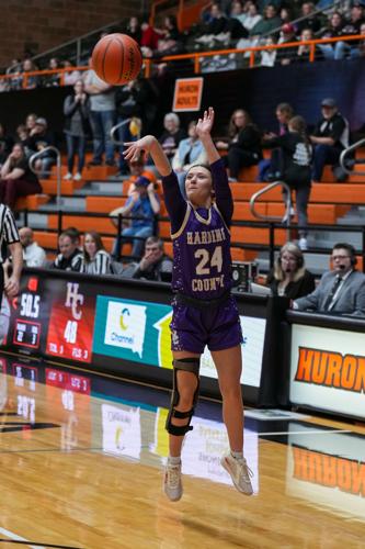 CLASS B ROUNDUP: Harding County defeats Dolphins, Lyman falls to Parkston