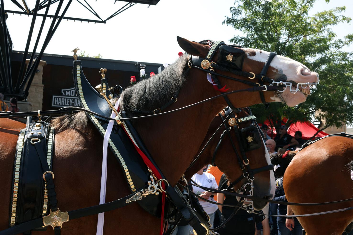 PHOTOS: Day 1 at the 85th Sturgis Motorcycle Rally